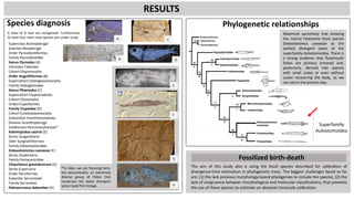 The importance of Paleocene fossil fishes from Southeastern Mexico to ...