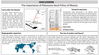 The importance of Paleocene fossil fishes from Southeastern Mexico to ...