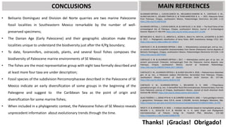 The importance of Paleocene fossil fishes from Southeastern Mexico to ...