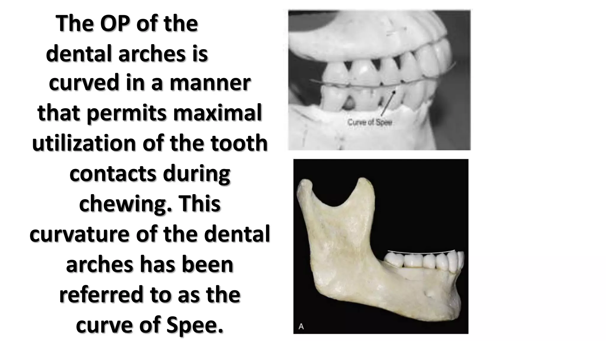 Canted occlusal plane ; etiology and evaluation part 1 | PPTX