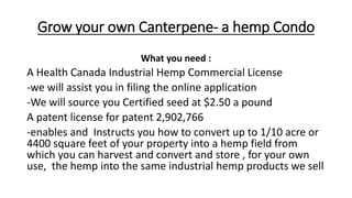 Canterpene Bio Derivatives (C.B.D.) products and supply chain | PPTX