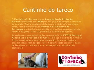 Cantinho do Tareco | PPTX
