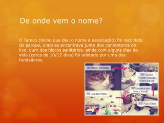 Cantinho do Tareco | PPTX