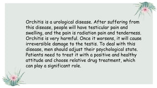 Can Vitamin C Help Orchitis? | PPTX
