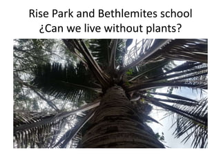 Curriculum Map Spring 2 Year 3 – Can we live without plants? | PPT