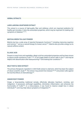 CanXida ReCharge (Formula RCH) Whitepaper | PDF | Digestive Disorders ...