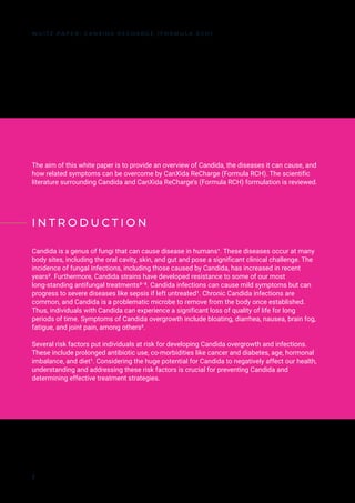 CanXida ReCharge (Formula RCH) Whitepaper | PDF | Digestive Disorders ...