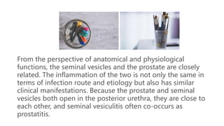 Can You Cure Seminal Vesiculitis Completely | PPT