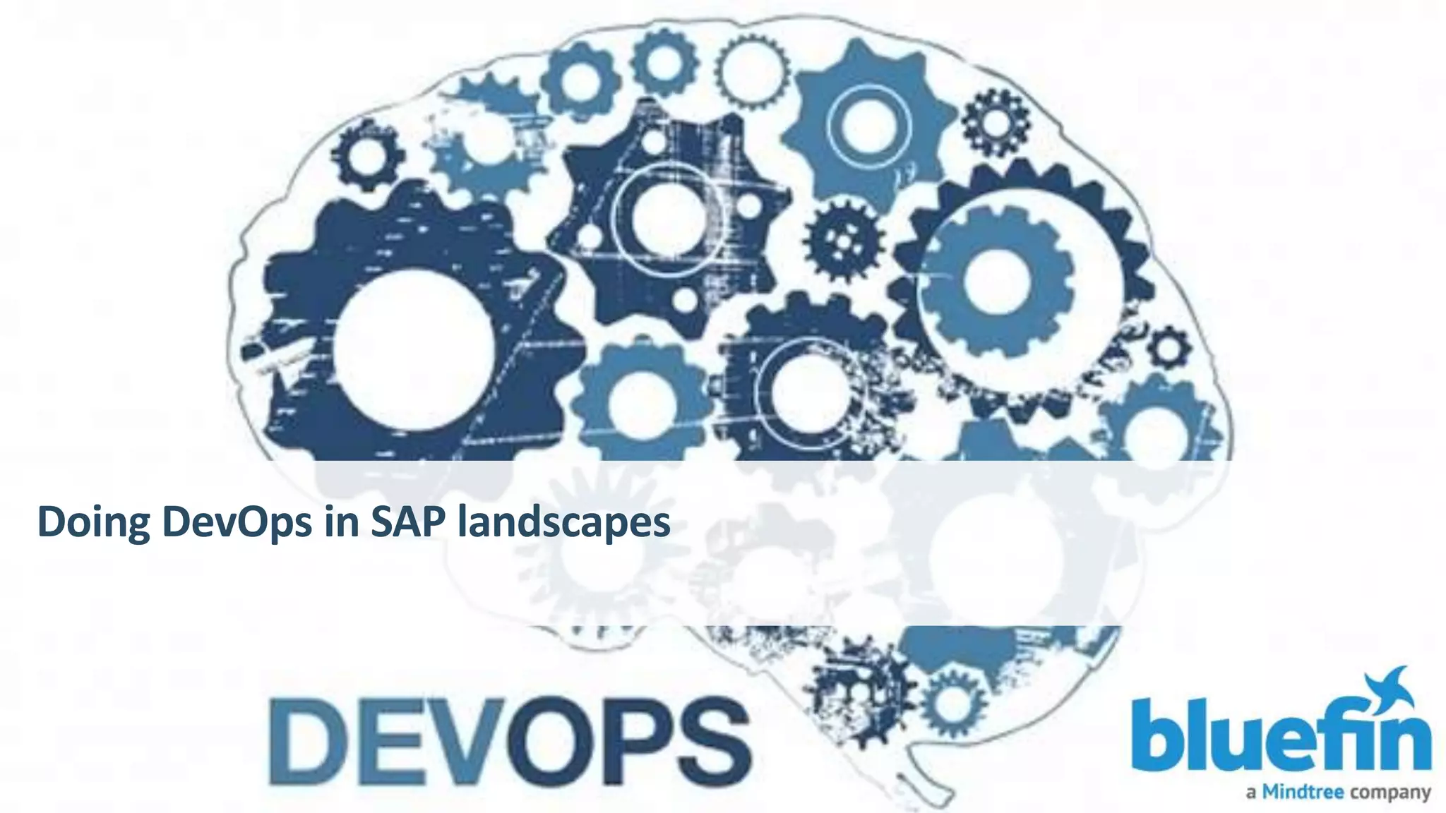 Can you do DevOps in SAP (SAP -> DevOps) | PPT