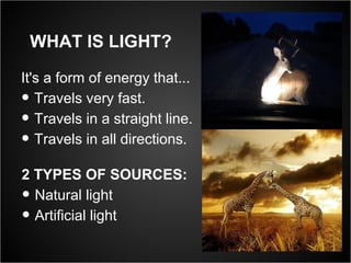 Can you see the light | PPT