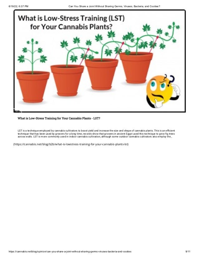 Does Sharing Joints Mean Sharing Germs and Bacteria? | PDF