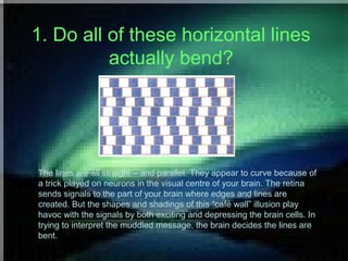 Optical Illusion: Can you trust your own eyes | PPT