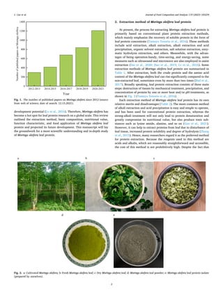 journal about moringa oleifera (MO) .pdf
