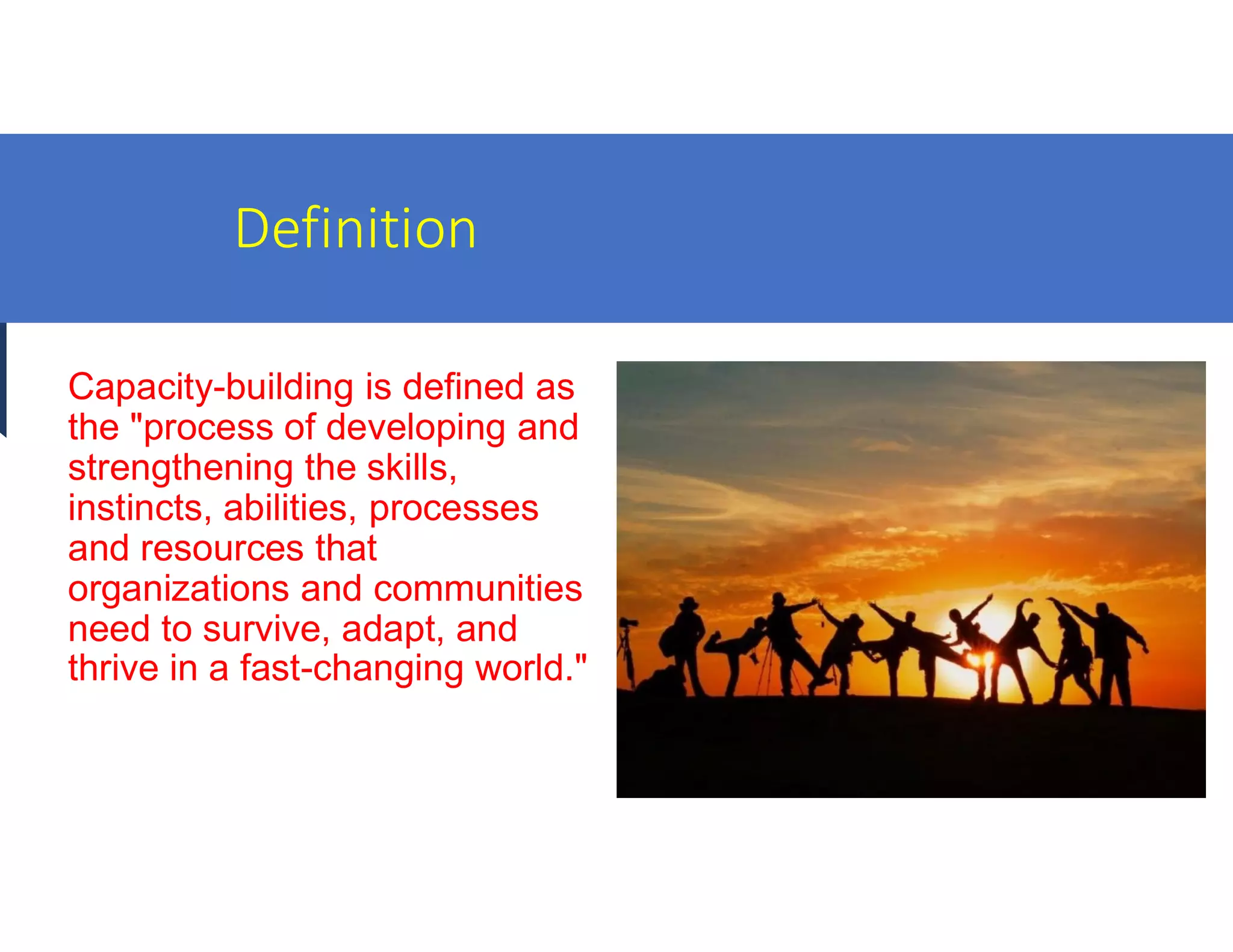 Capacity Building | PDF