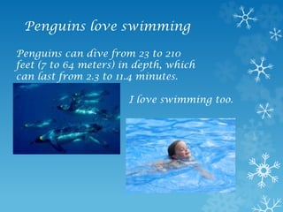 Caoimhe's Penguin Project | PPTX