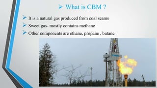 Caol bed methane | PPT