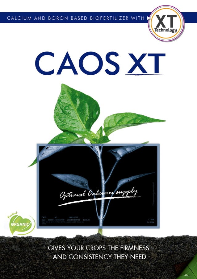 Caos XT - Optimal Calcium Supply | Kimitec Group | PDF