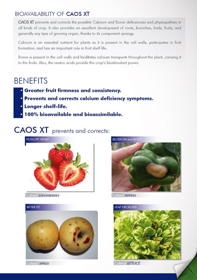 Caos XT - Optimal Calcium Supply | Kimitec Group | PDF