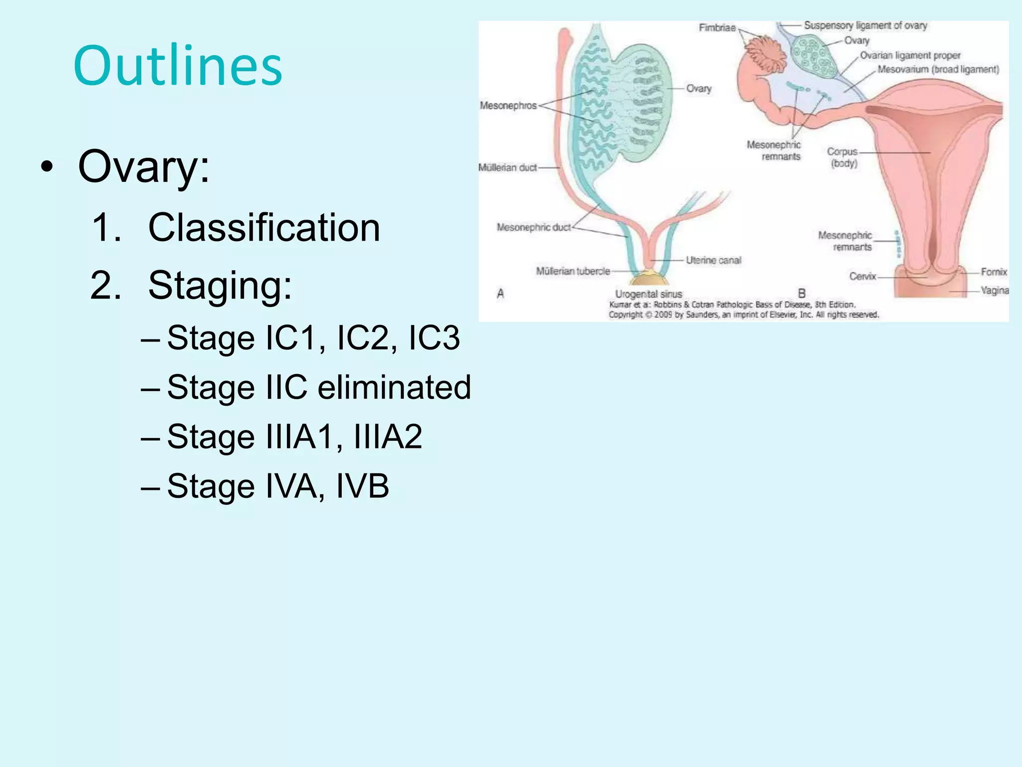 Ca ovary staging(AJCC 8th Edition& FIGO 2014) and classification | PPTX | Reproductive Health ...