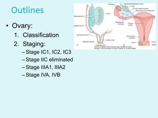 Ca ovary staging(AJCC 8th Edition& FIGO 2014) and classification | PPTX