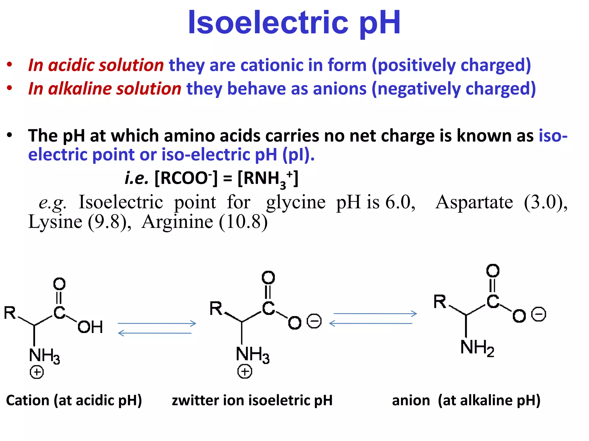C-A&P 01 amino acids classification | PPTX