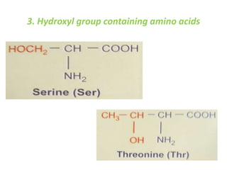 C-A&P 01 amino acids classification | PPTX