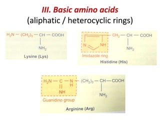 C-A&P 01 amino acids classification | PPTX