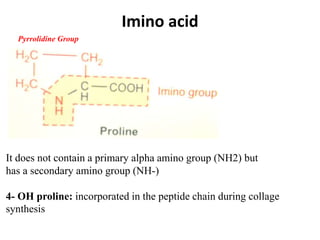 C-A&P 01 amino acids classification | PPTX