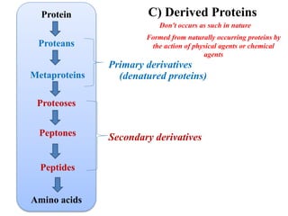 C-A&P 03 Classification and properties of proteins | PPTX