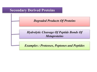 C-A&P 03 Classification and properties of proteins | PPTX