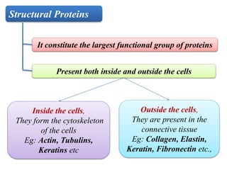 C-A&P 03 Classification and properties of proteins | PPTX