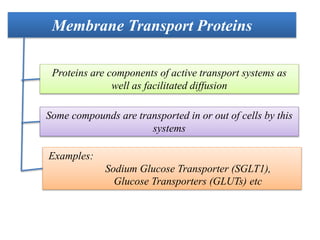 C-A&P 03 Classification and properties of proteins | PPTX
