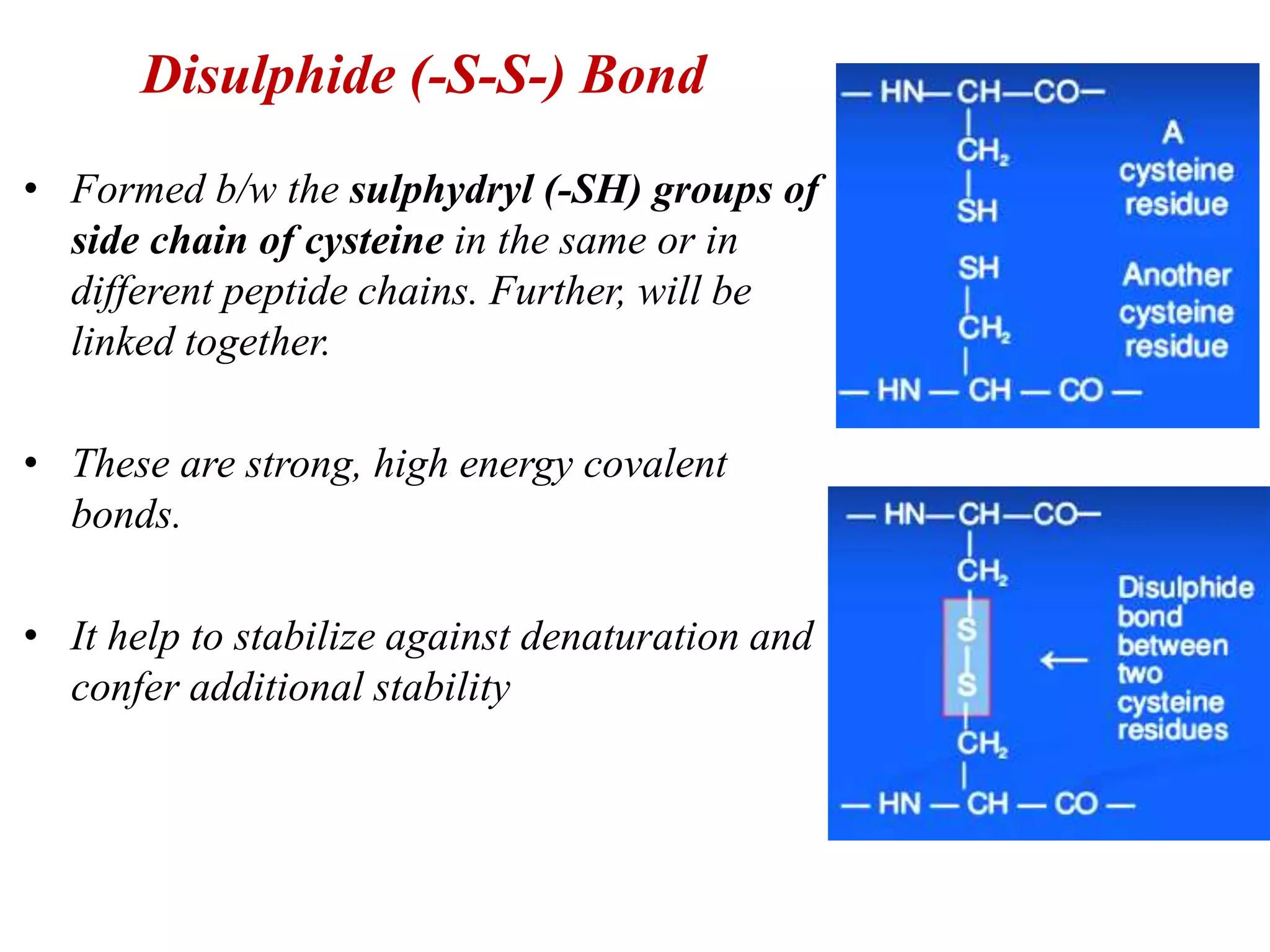 C-A&P 04 bonds responsible for protein structure | PPTX