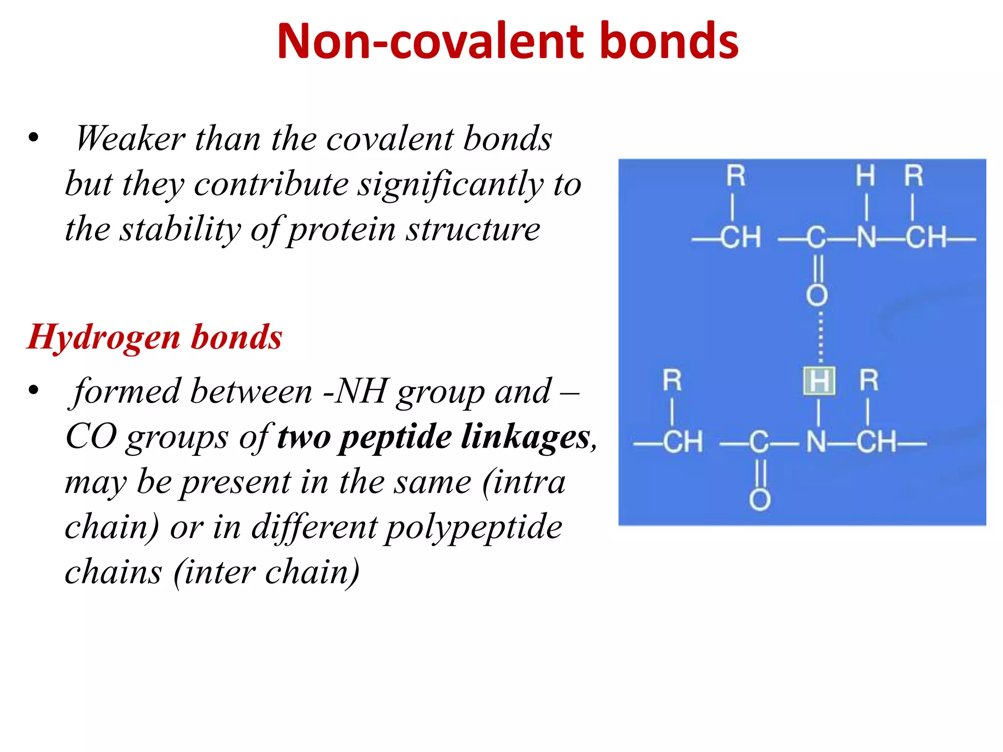 C-A&P 04 bonds responsible for protein structure | PPTX