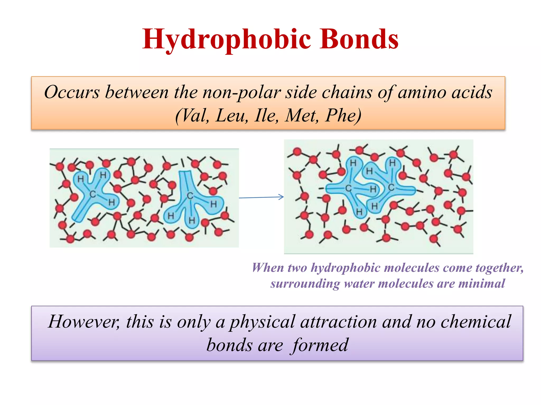 C-A&P 04 bonds responsible for protein structure | PPTX