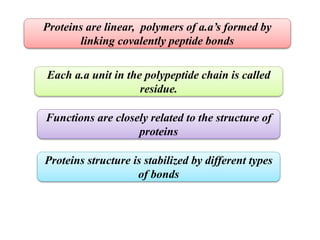 C-A&P 04 bonds responsible for protein structure | PPTX