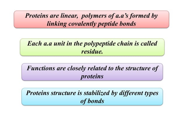 C-A&P 04 bonds responsible for protein structure | PPTX | Chemistry ...