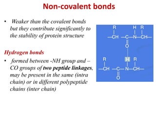 C-A&P 04 bonds responsible for protein structure | PPTX