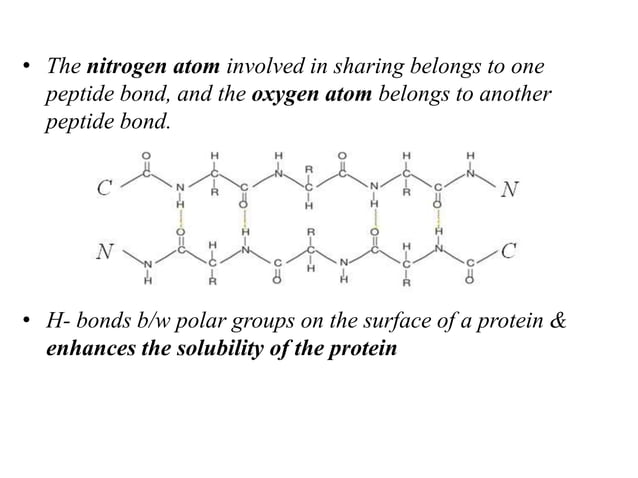 C-A&P 04 bonds responsible for protein structure | PPTX | Chemistry ...