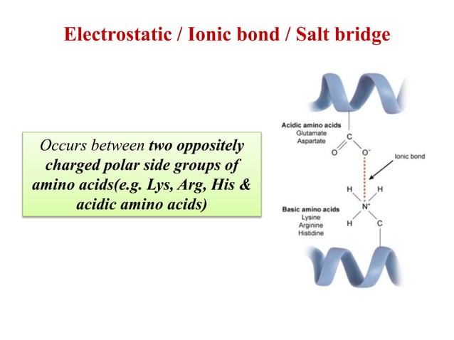 C-A&P 04 bonds responsible for protein structure | PPTX | Chemistry ...