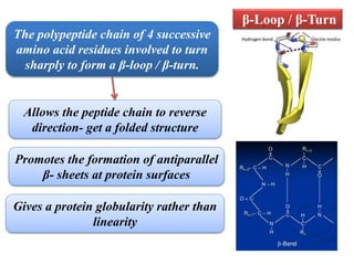 C-A&P 05 Structural organization of proteins | PPT