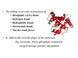 C-A&P 05 Structural organization of proteins | PPT