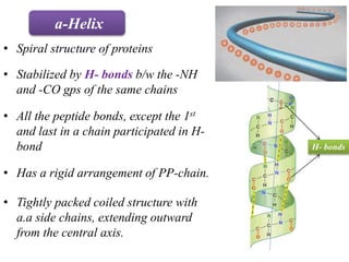 C-A&P 05 Structural organization of proteins | PPT