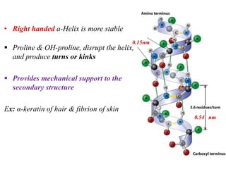 C-A&P 05 Structural organization of proteins | PPT