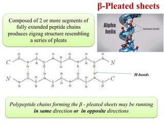 C-A&P 05 Structural organization of proteins | PPT