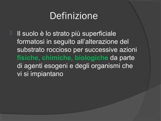 il suolo | PPT