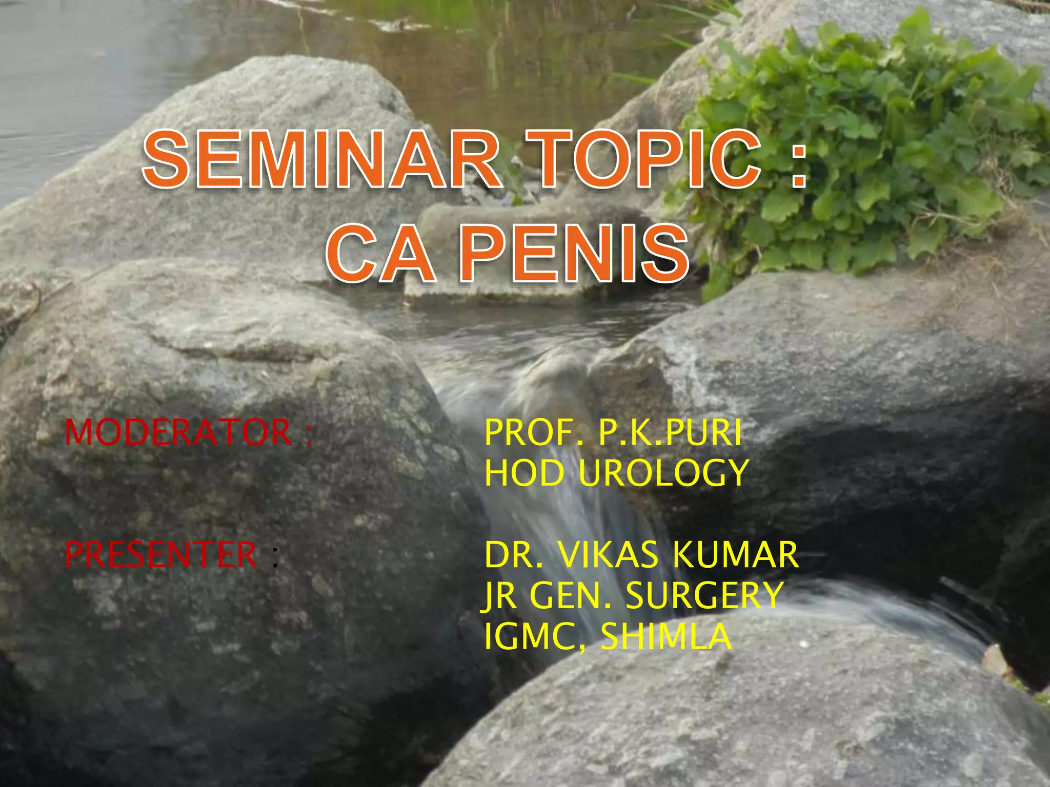 CARCINOMA PENIS | PPTX