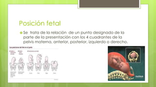 PROCESO DE PARTO NORMAL | PPTX