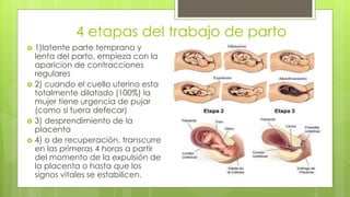 PROCESO DE PARTO NORMAL | PPTX