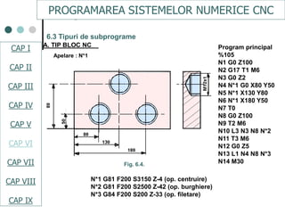 Cap.vi subprograme | PPT